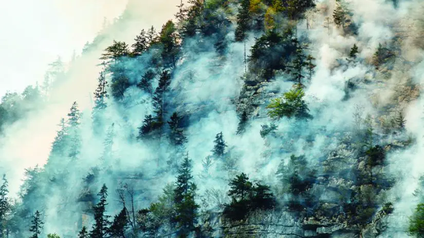 Fire: What is it and How Does it Spread? | Rainbow Restoration